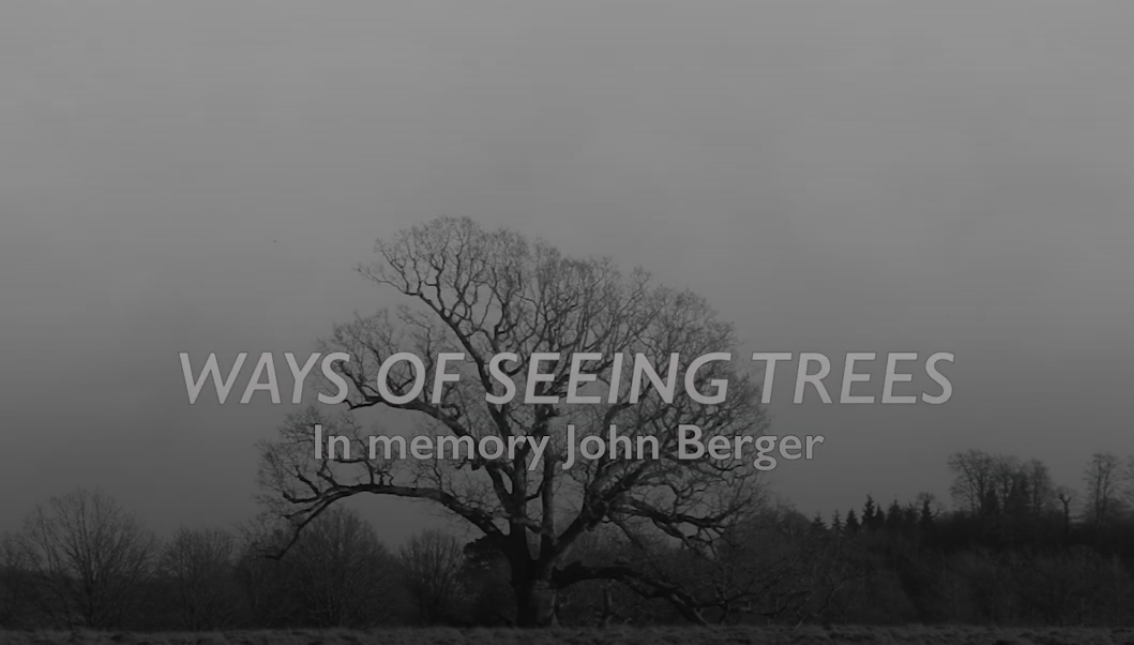 Ways of Seeing Trees (2025) - Naomi Foyle